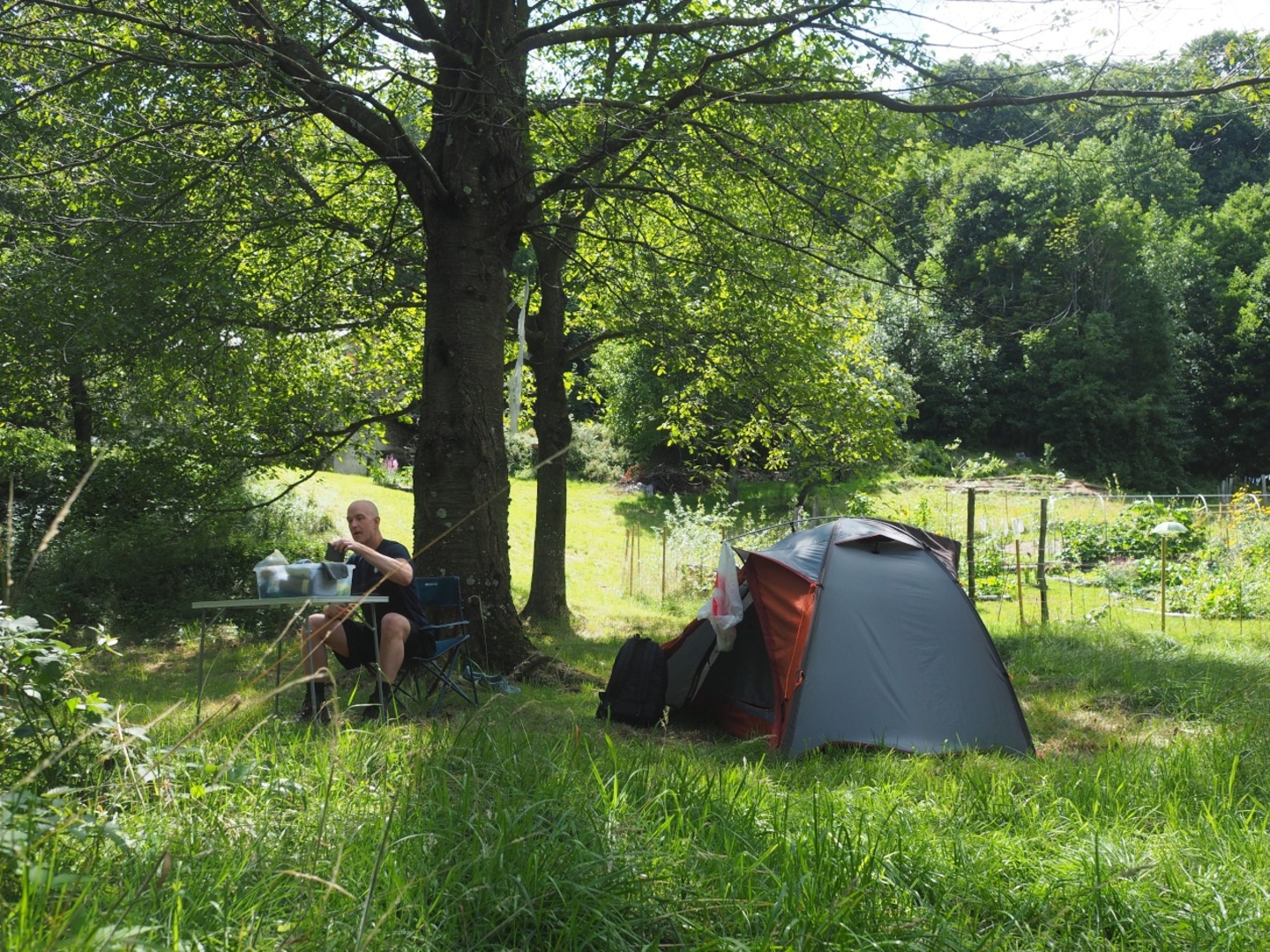 Secluded Forest Campsite in Off-Grid Paradise, Trausella | Nomady
