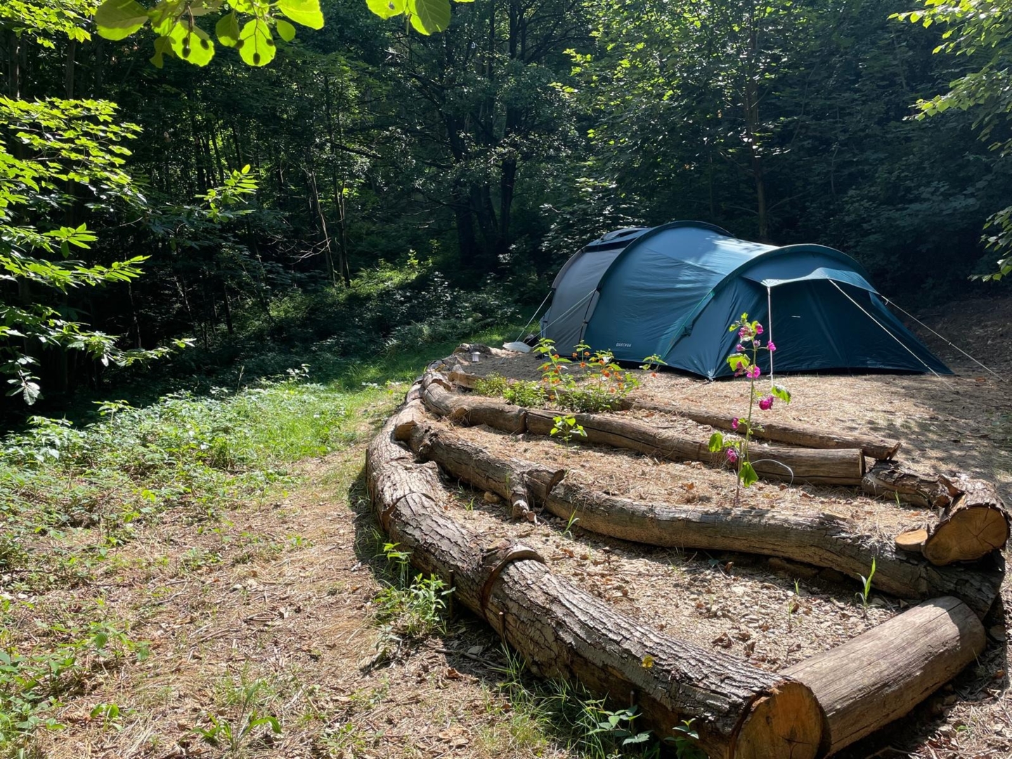 Off grid nature campsite in private forest garden, Trausella | Nomady